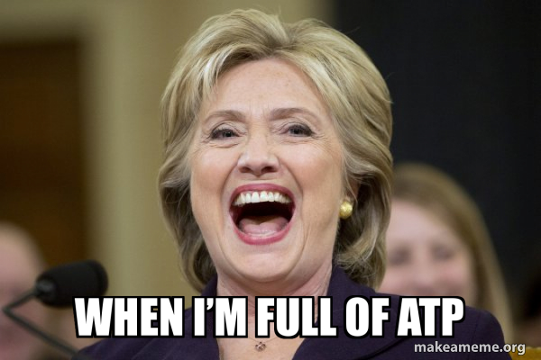 When I’m full of ATP - Hillary Clinton Laughs Meme Generator