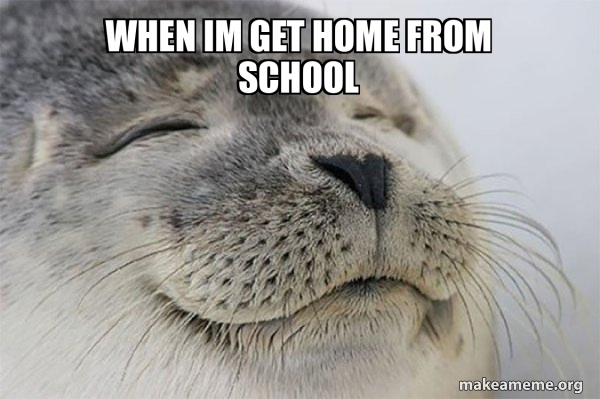 When im get home from school - Satisfied Seal Meme Generator