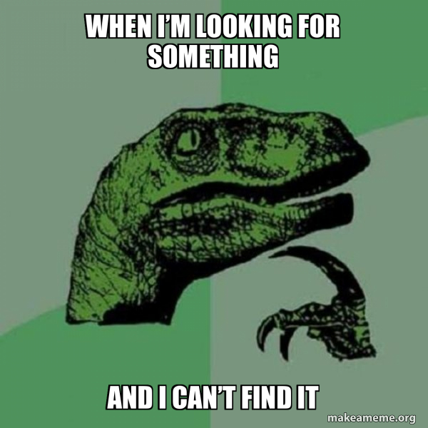 When I’m looking for something And I can’t find it - Philosoraptor Meme ...