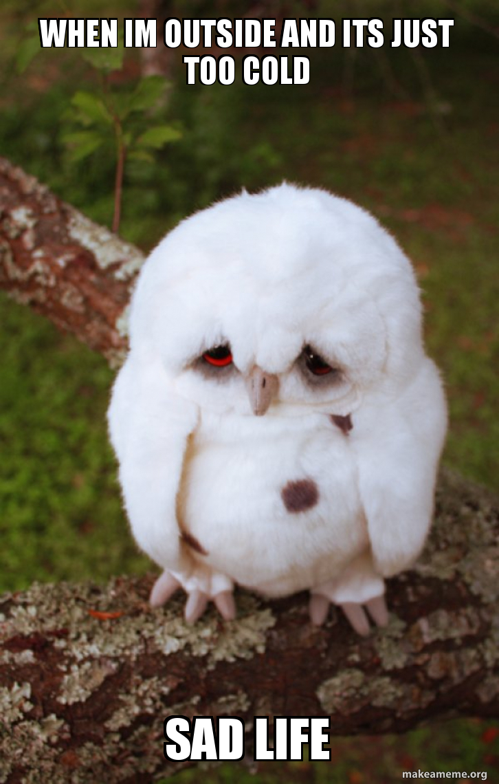 when im outside and its just too cold sad life - Sad Owl Meme Generator