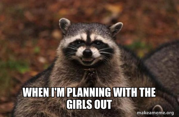 When I'm planning with the girls out - Evil Plotting Raccoon Meme Generator