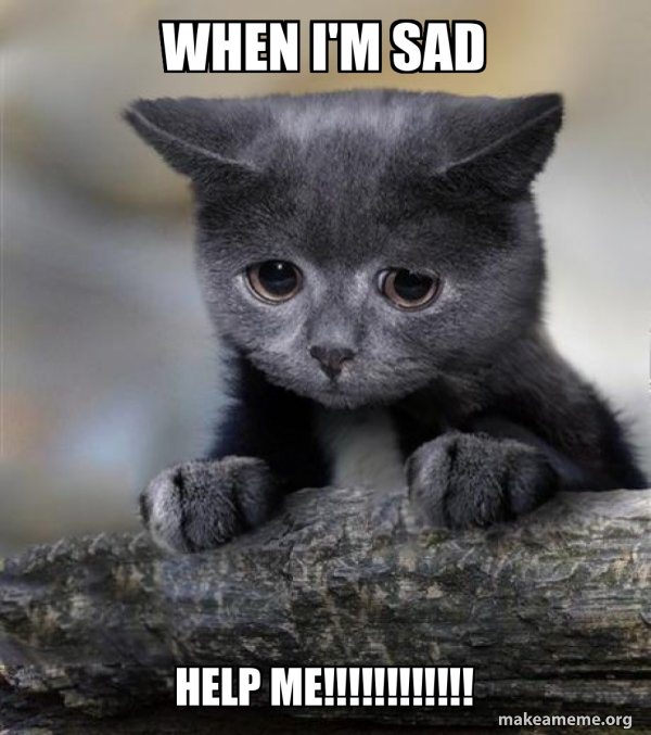 when I'm sad help me!!!!!!!!!!!! - Confession Cat Meme Generator
