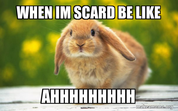 when im scard be like ahhhhhhhhh - Regretful Rabbit Meme Generator