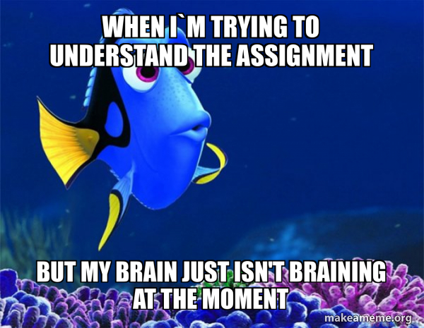 When I`m trying to understand the assignment But my brain just isn't ...