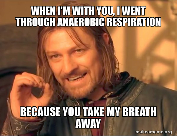 When I'm with you, I went through anaerobic respiration Because you ...