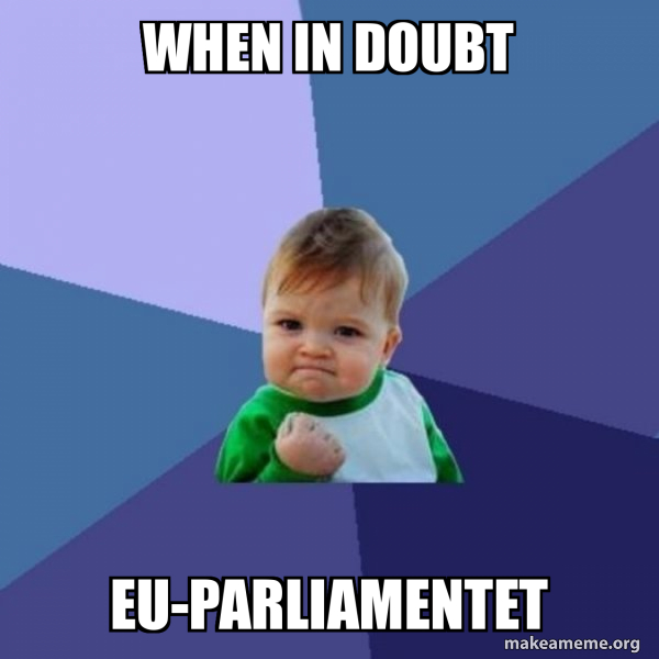 When in doubt Eu-parliamentet - Success Kid Meme Generator