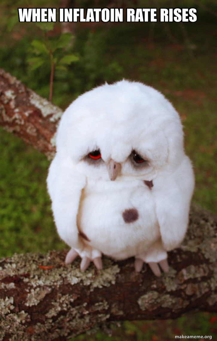 When inflatoin rate rises - Sad Owl Meme Generator