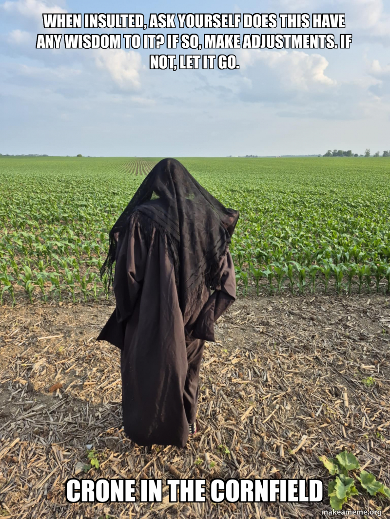 When insulted, ask yourself does this have any wisdom to it? If so ...