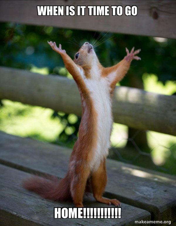 WHen is it time to go home!!!!!!!!!!! - Happy Squirrel Meme Generator