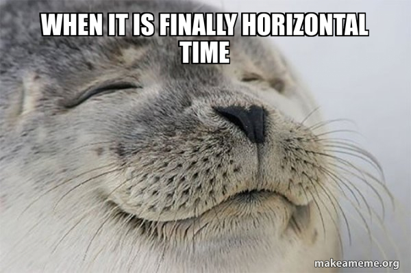 when it is finally horizontal time - Satisfied Seal | Make a Meme