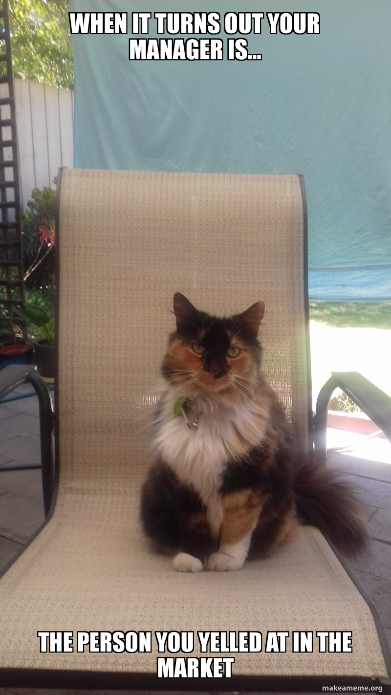 When it turns out your manager is... The person you yelled at in the ...