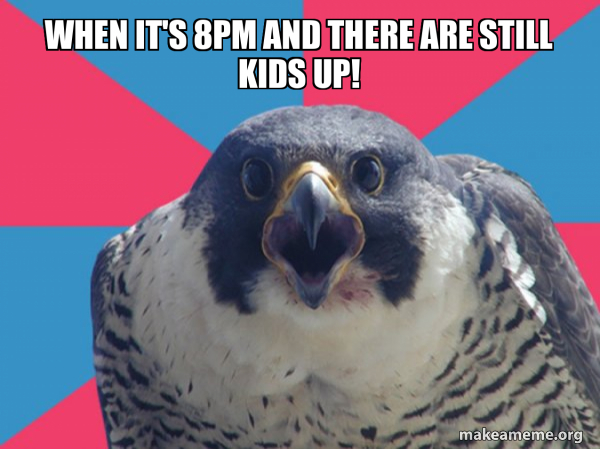 When it's 8pm and there are still kids up! - Millennial Falcon Meme ...