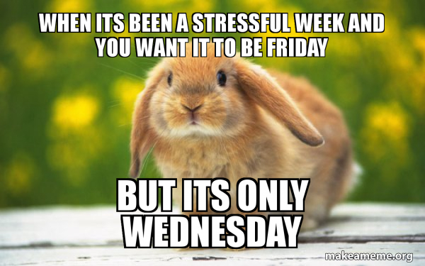 when its been a stressful week and you want it to be friday but its ...