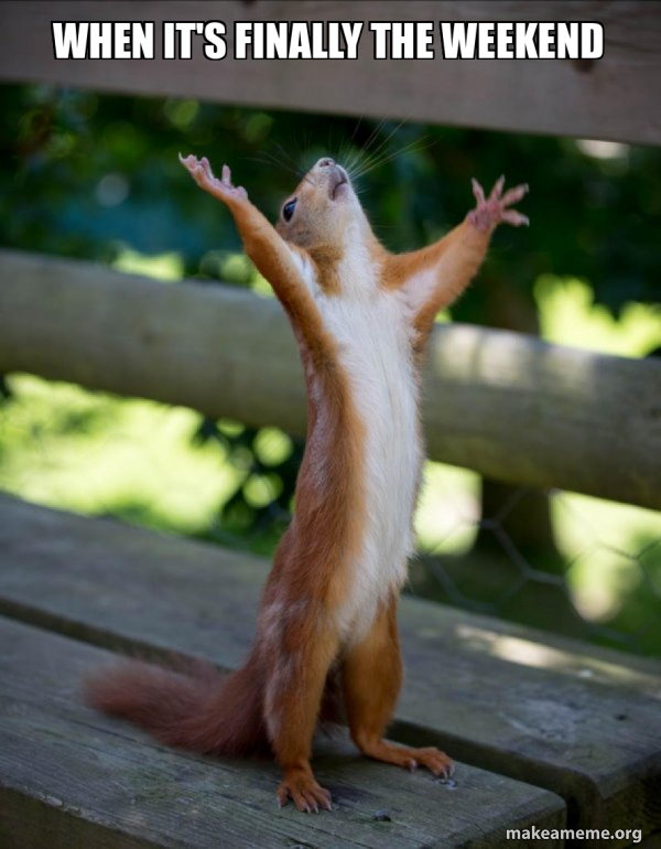 WHEN IT'S FINALLY THE WEEKEND - Happy Squirrel Meme Generator
