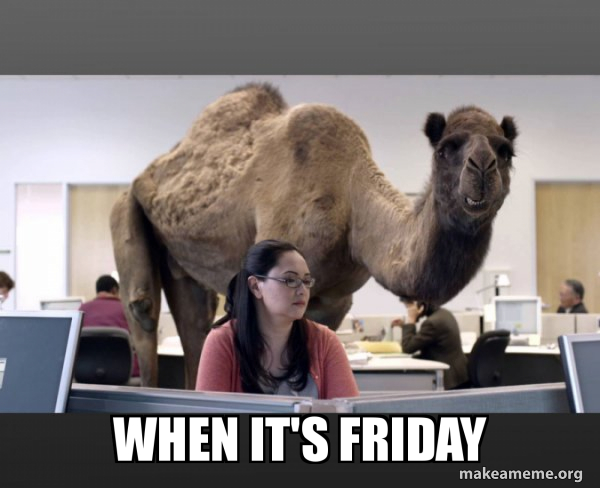 When it's Friday - Hump Day Camel Meme Generator