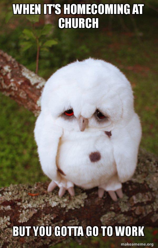 When it's homecoming at church but you gotta go to work - Sad Owl Meme ...