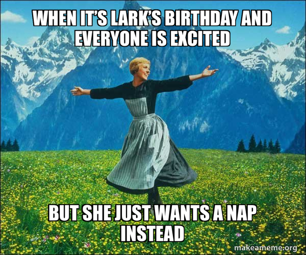 When it’s Lark’s Birthday and everyone is excited But she just wants a ...