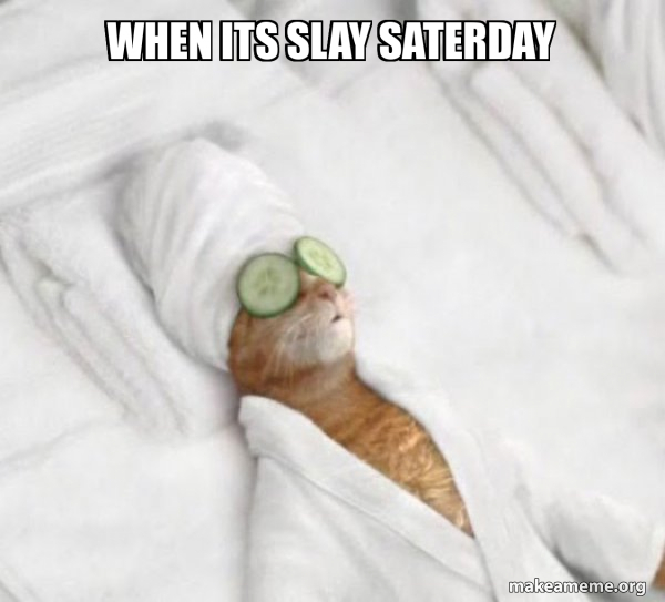 when its slay saterday - Pampered Cat Meme Meme Generator