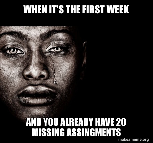 When it's the first week and you already have 20 missing assingments ...