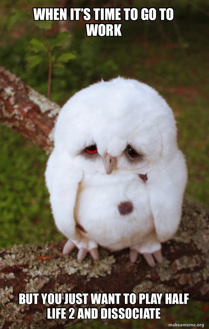 When it’s time to go to work But you just want to play Half Life 2 and ...