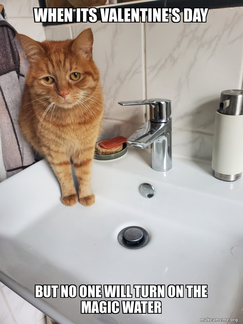 When its Valentine'S Day But no one will turn on the magic Water Meme Generator