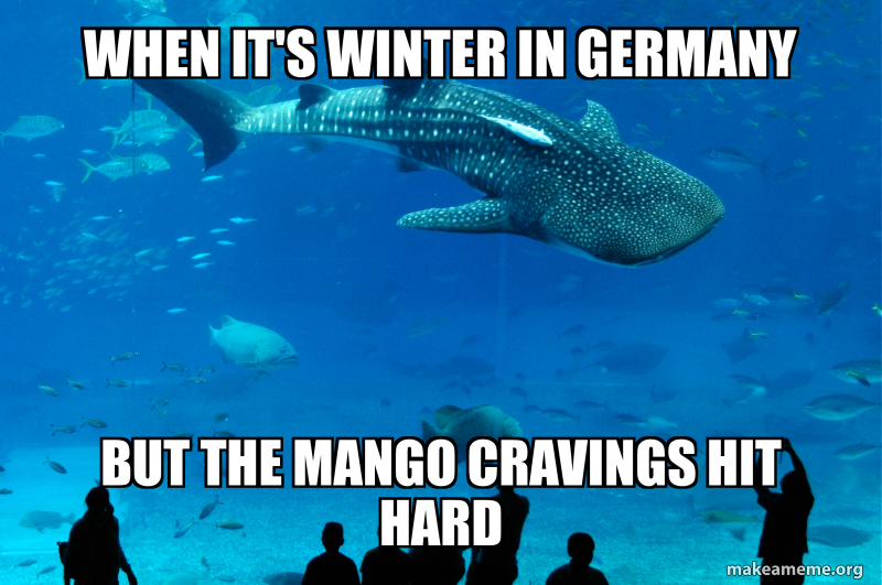 When it's winter in Germany But the mango cravings hit hard - those who ...