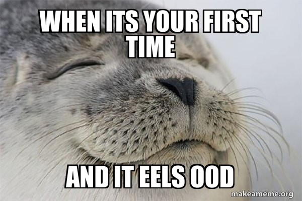 when its your first time and it eels ood - Satisfied Seal Meme Generator