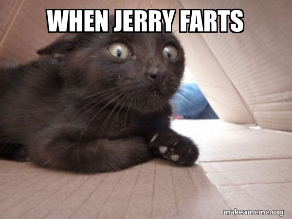 when Jerry farts - Schitzo Cat Meme Generator