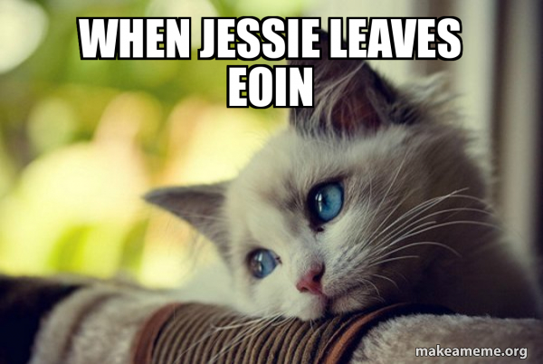 when jessie leaves eoin - First World Cat Problems Meme Generator