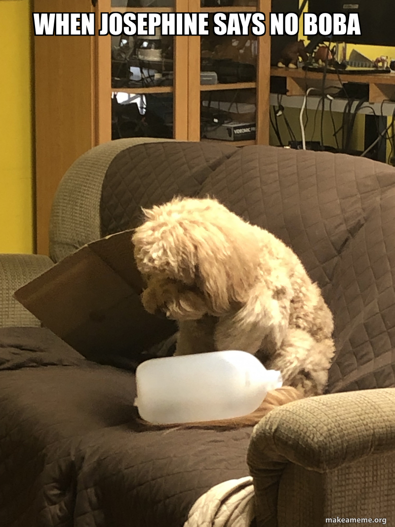 when josephine says no boba Meme Generator