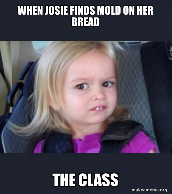 when josie finds mold on her bread the class - Side-Eyes Chloe Meme ...