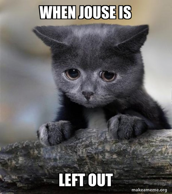 when Jouse is left out - Confession Cat Meme Generator