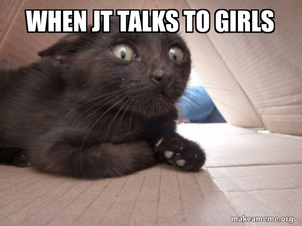 when jt talks to girls - Schitzo Cat Meme Generator
