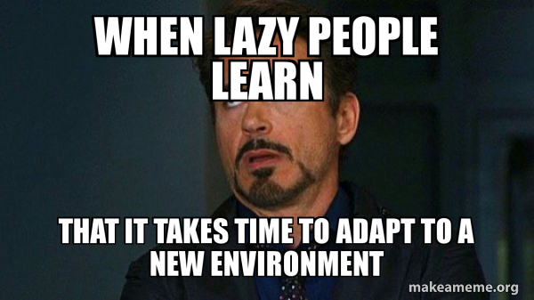 Lazy Meme 35 Silly Memes From “Lazy Programmer” That Might Make