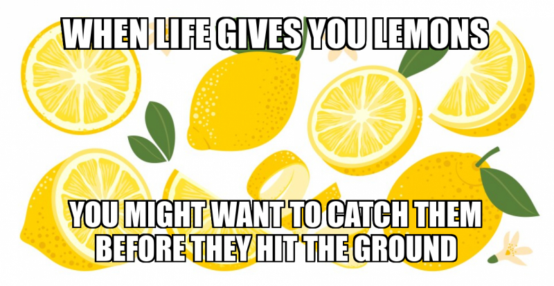 When life gives you lemons You might want to catch them before they hit ...