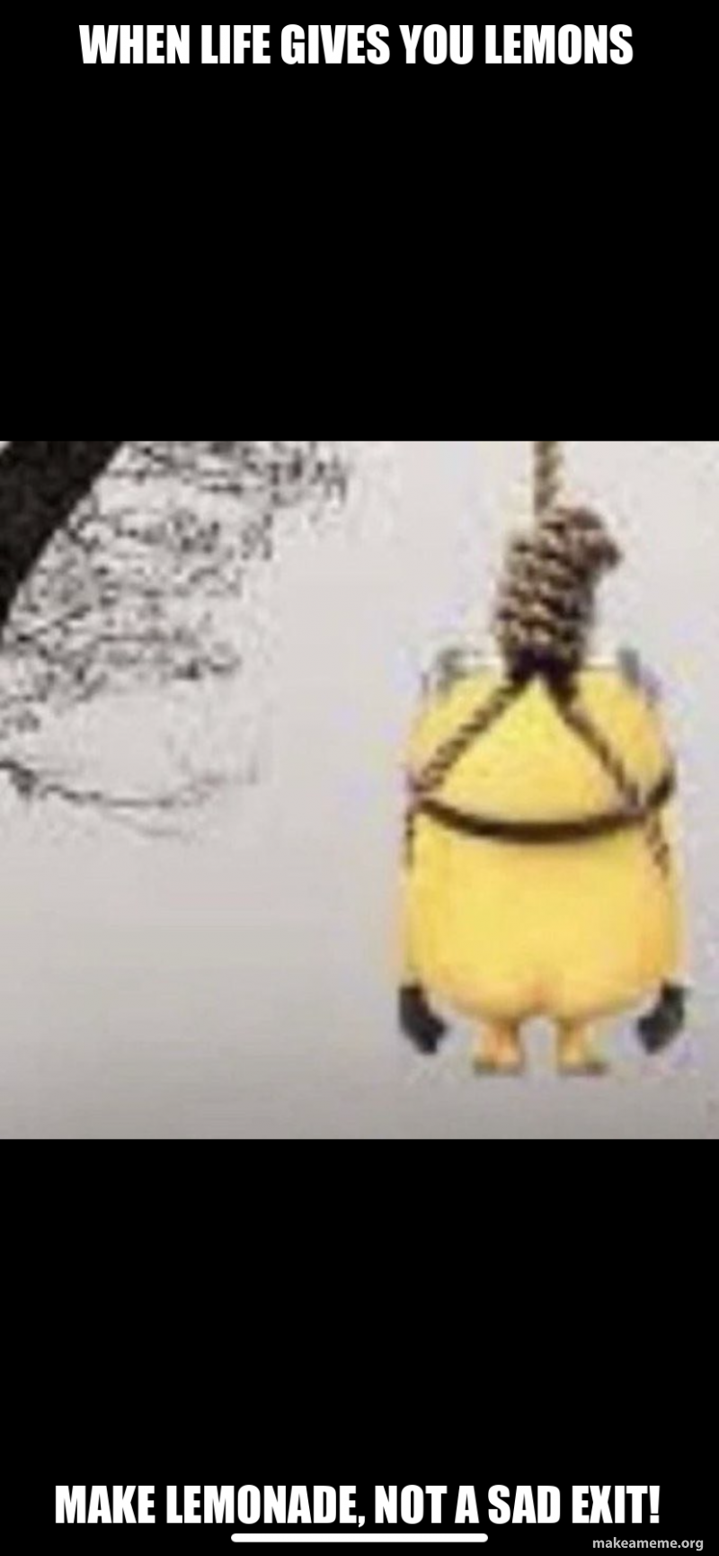 When life gives you lemons Make lemonade, not a sad exit! Meme Generator