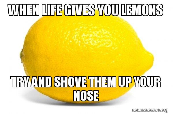 WHEN LIFE GIVES YOU LEMONS TRY AND SHOVE THEM UP YOUR NOSE - Lemon Meme ...