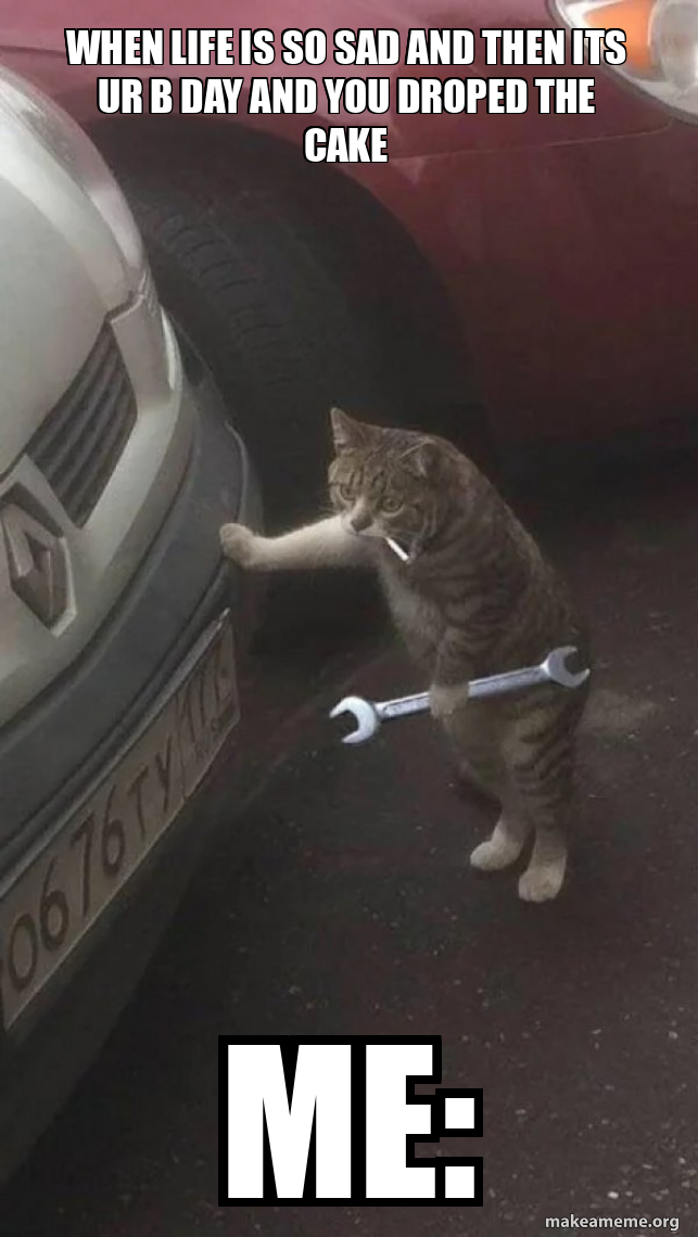 when life is so sad and then its ur b day and you droped the cake me ...