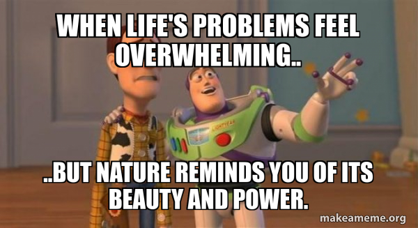 When life's problems feel overwhelming.. ..but nature reminds you of ...