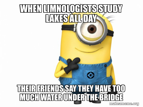 When limnologists study lakes all day Their friends say they have too ...