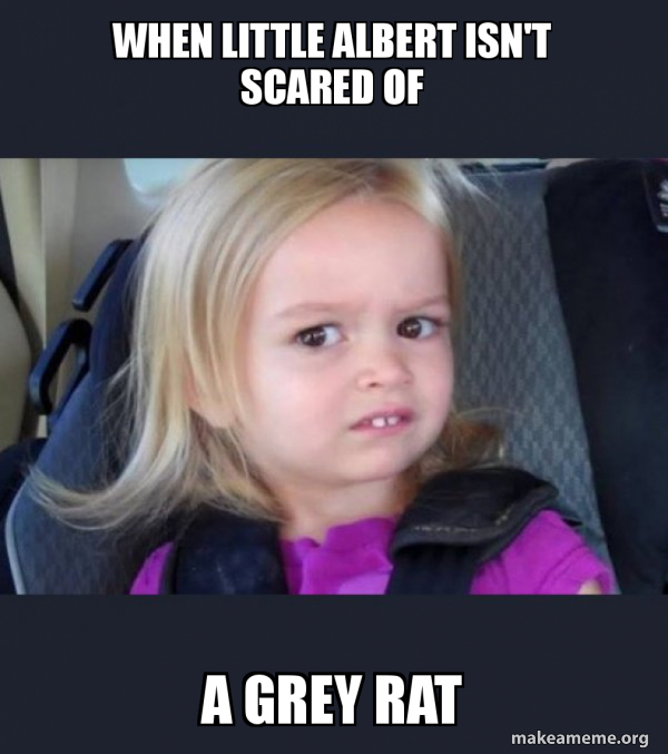 When little Albert isn't scared of a grey rat - Side-Eyes Chloe Meme ...