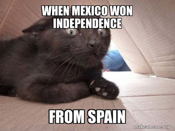 When Mexico won independence FROM SPAIN - Schitzo Cat Meme Generator