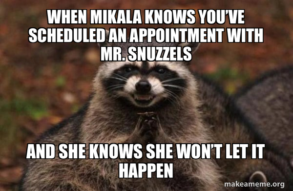 When Mikala knows you’ve scheduled an appointment with Mr. Snuzzels And ...