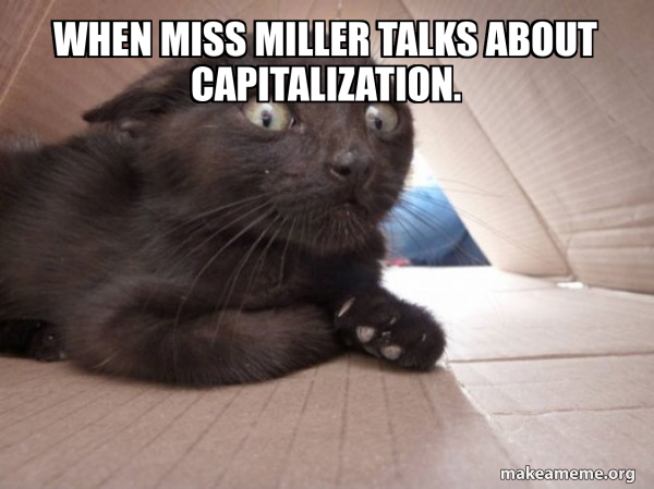 when miss miller talks about capitalization. - Schitzo Cat Meme Generator