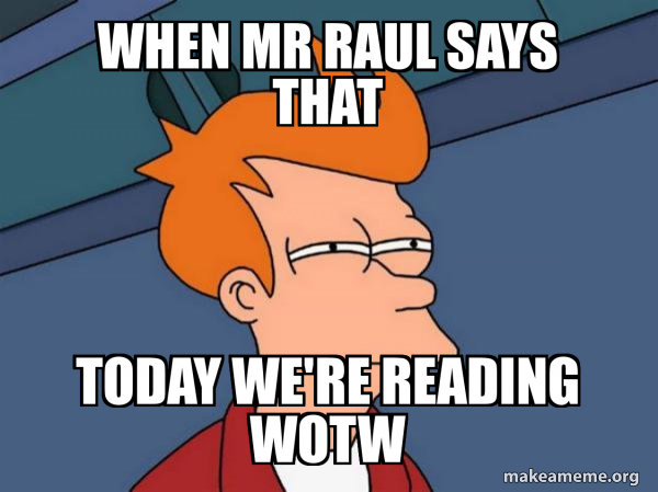 when mr raul says that today we're reading WotW - Futurama Fry Meme ...