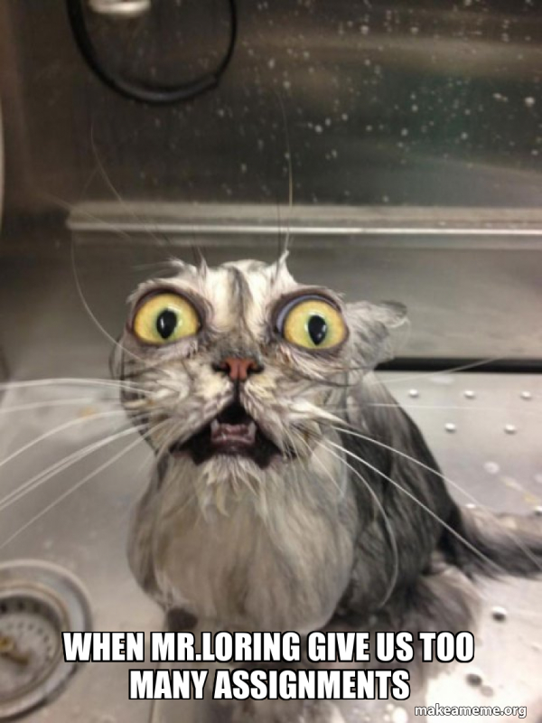 When Mr.Loring give us too many assignments - Cat bath Meme Generator