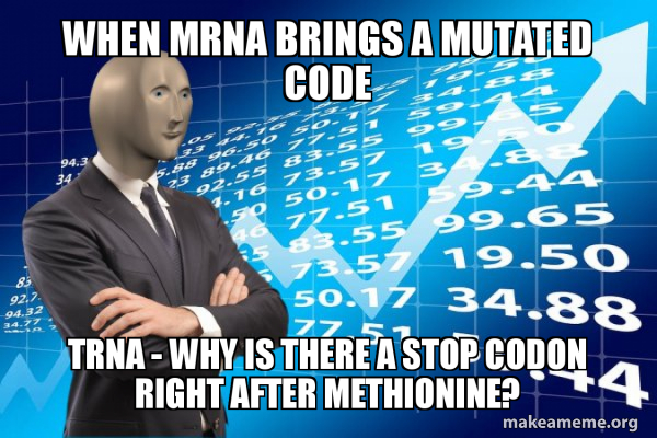 When mRNA brings a mutated code tRNA - Why is there a stop codon right ...