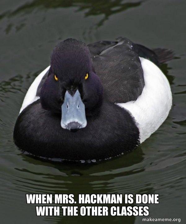 When Mrs. Hackman is done with the other classes - Revenge Duck ( Angry ...