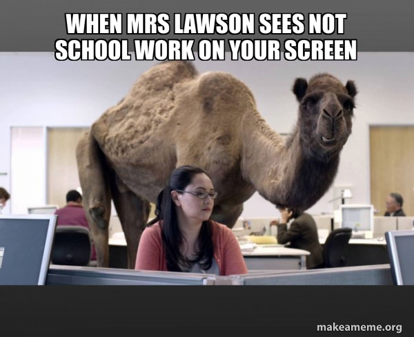 when Mrs Lawson sees not school work on your screen - Hump Day Camel ...