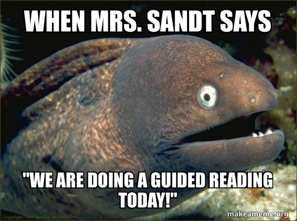 When Mrs. Sandt says "We are doing a guided reading today!" - Bad Joke ...